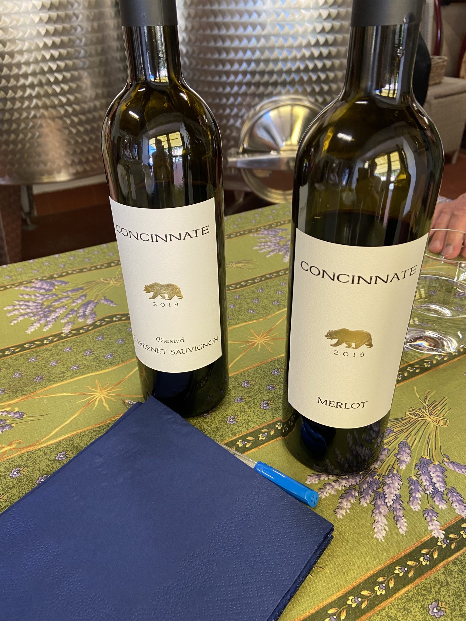 Nancy Goes to Italy | A record of an American's dream to live in Umbria